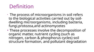 MICROORGANISMS IN SOIL PROCESSES (1) (2).pptx