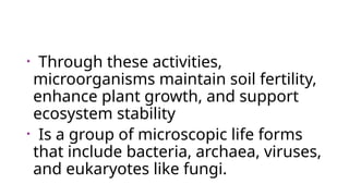 MICROORGANISMS IN SOIL PROCESSES (1) (2).pptx