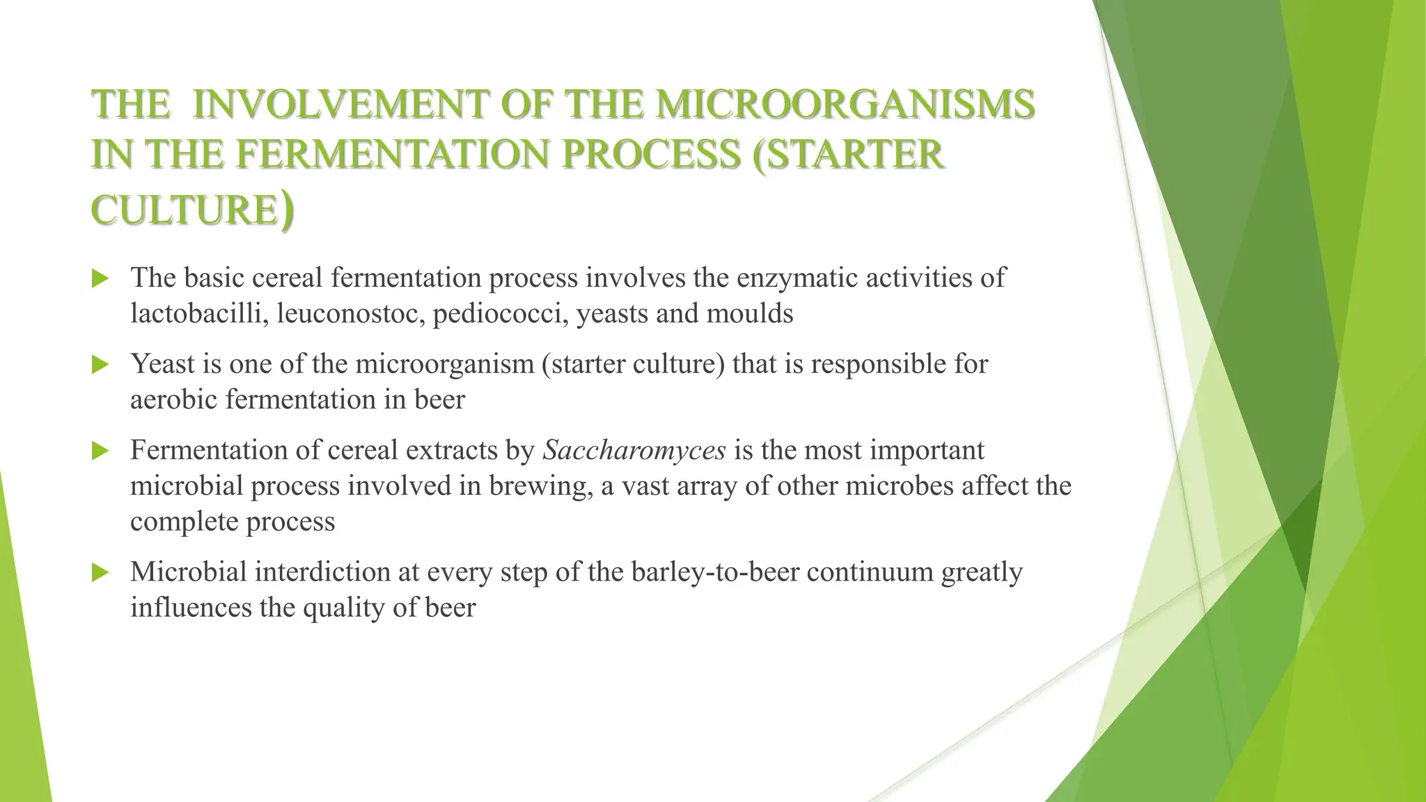MICROORGANISMS_IN_THE__FERMENTATION_PROCESS_OF_CEREALS.pptx