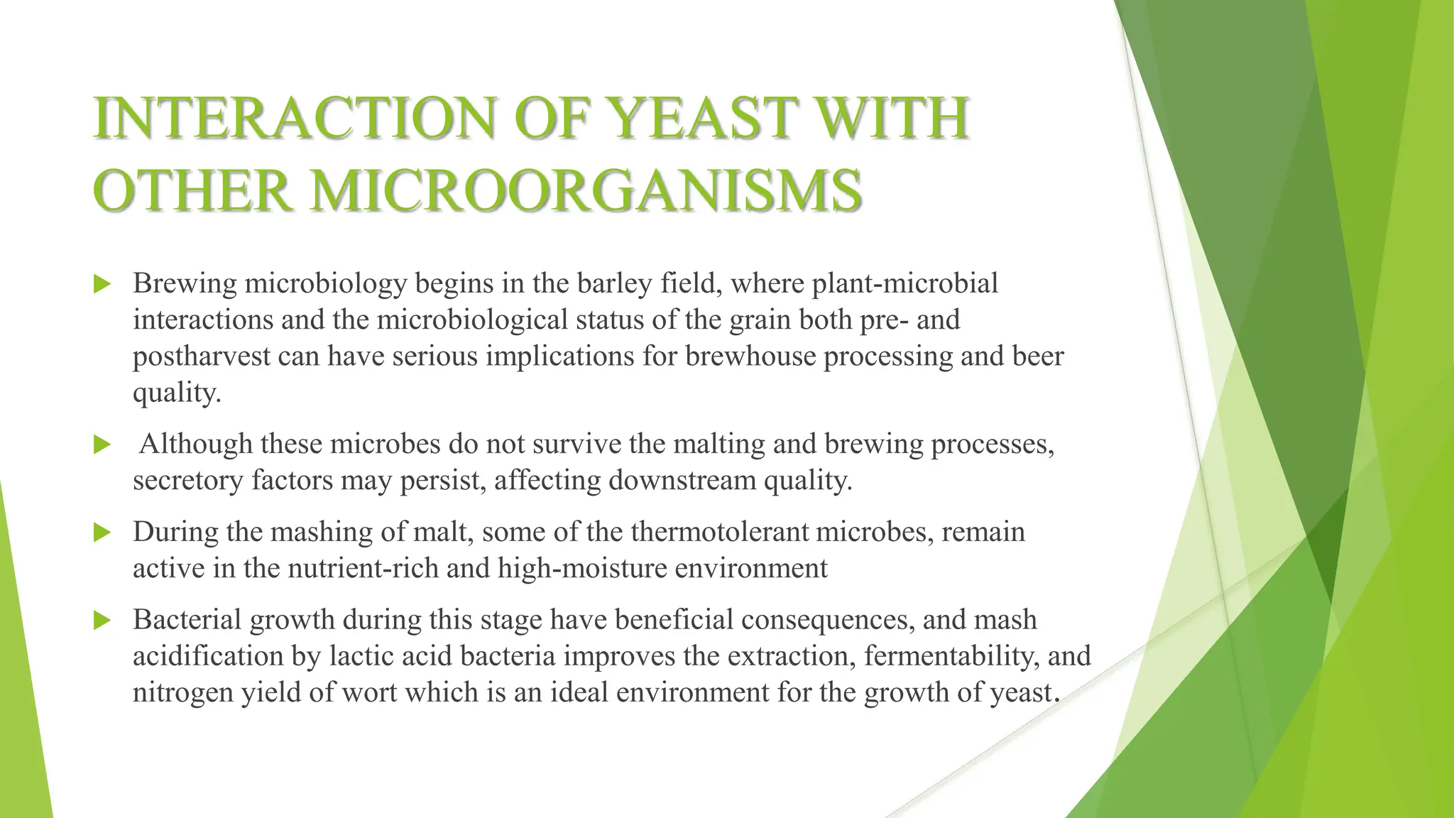 MICROORGANISMS_IN_THE__FERMENTATION_PROCESS_OF_CEREALS.pptx