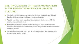 MICROORGANISMS_IN_THE__FERMENTATION_PROCESS_OF_CEREALS.pptx