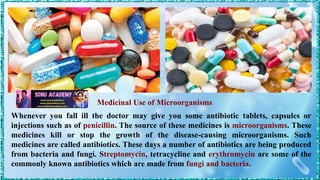 Microorganisms: Friend and Foe –Friend and foe Chapter-2 Class 8- CBSE ...