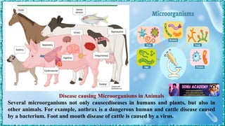 Microorganisms: Friend and Foe –Friend and foe Chapter-2 Class 8- CBSE ...