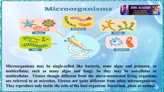 Microorganisms: Friend and Foe –Friend and foe Chapter-2 Class 8- CBSE ...