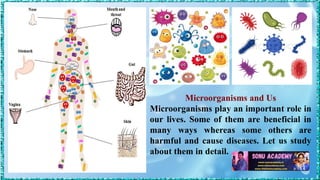 Microorganisms: Friend and Foe –Friend and foe Chapter-2 Class 8- CBSE ...