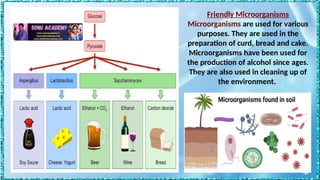Microorganisms: Friend and Foe –Friend and foe Chapter-2 Class 8- CBSE ...