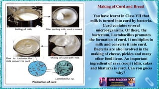 Microorganisms: Friend and Foe –Friend and foe Chapter-2 Class 8- CBSE ...