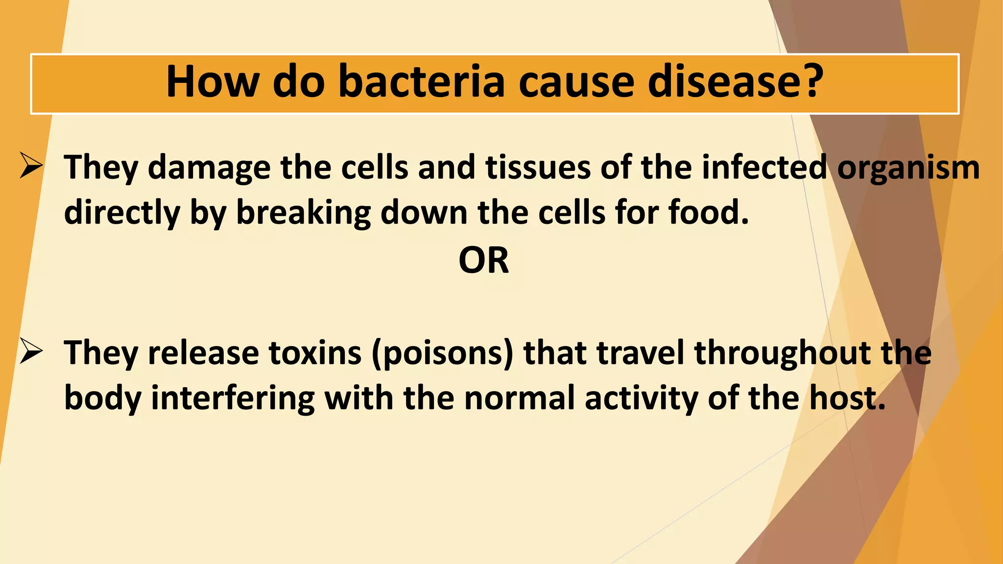 Microorganisms part 1 | PPTX