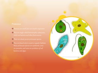 Microorganisms PPt Presentation by Piyush Mohite | PPSX