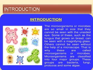 Microorganisms ppt -_ppt_1 | PPT