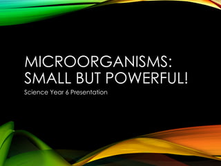 Microorganisms_Presentation_Real life.pptx