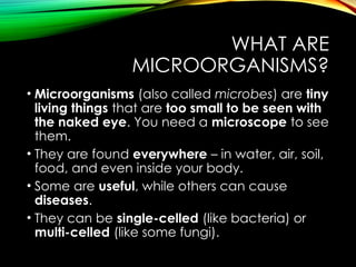 Microorganisms_Presentation_Real life.pptx
