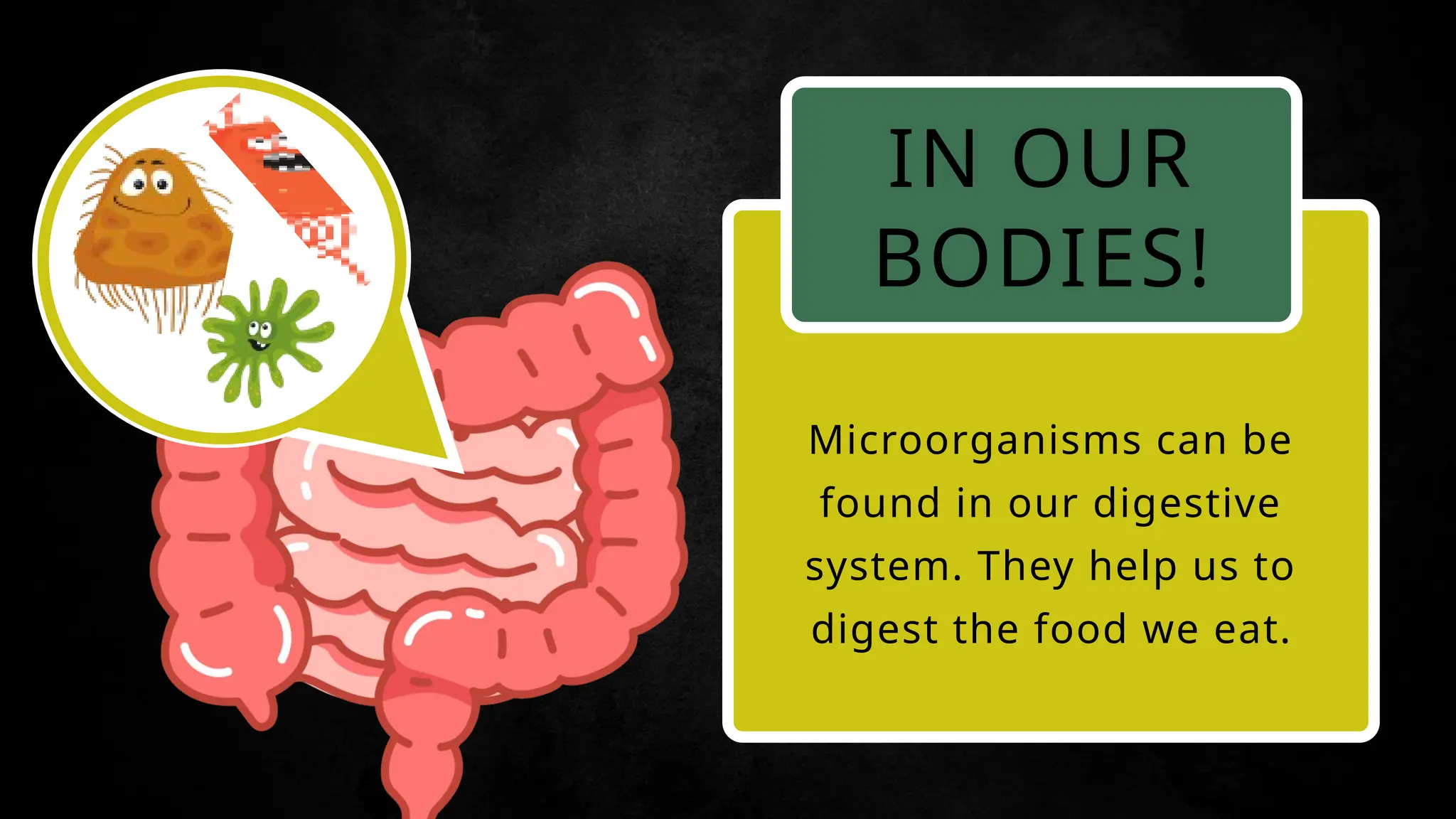 Microorganisms Science Presentation in an Illustrative Style.pptx