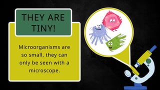 Microorganisms Science Presentation in an Illustrative Style.pptx