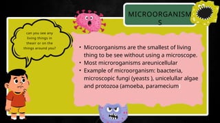 the wonderful word of microorganism.pptx
