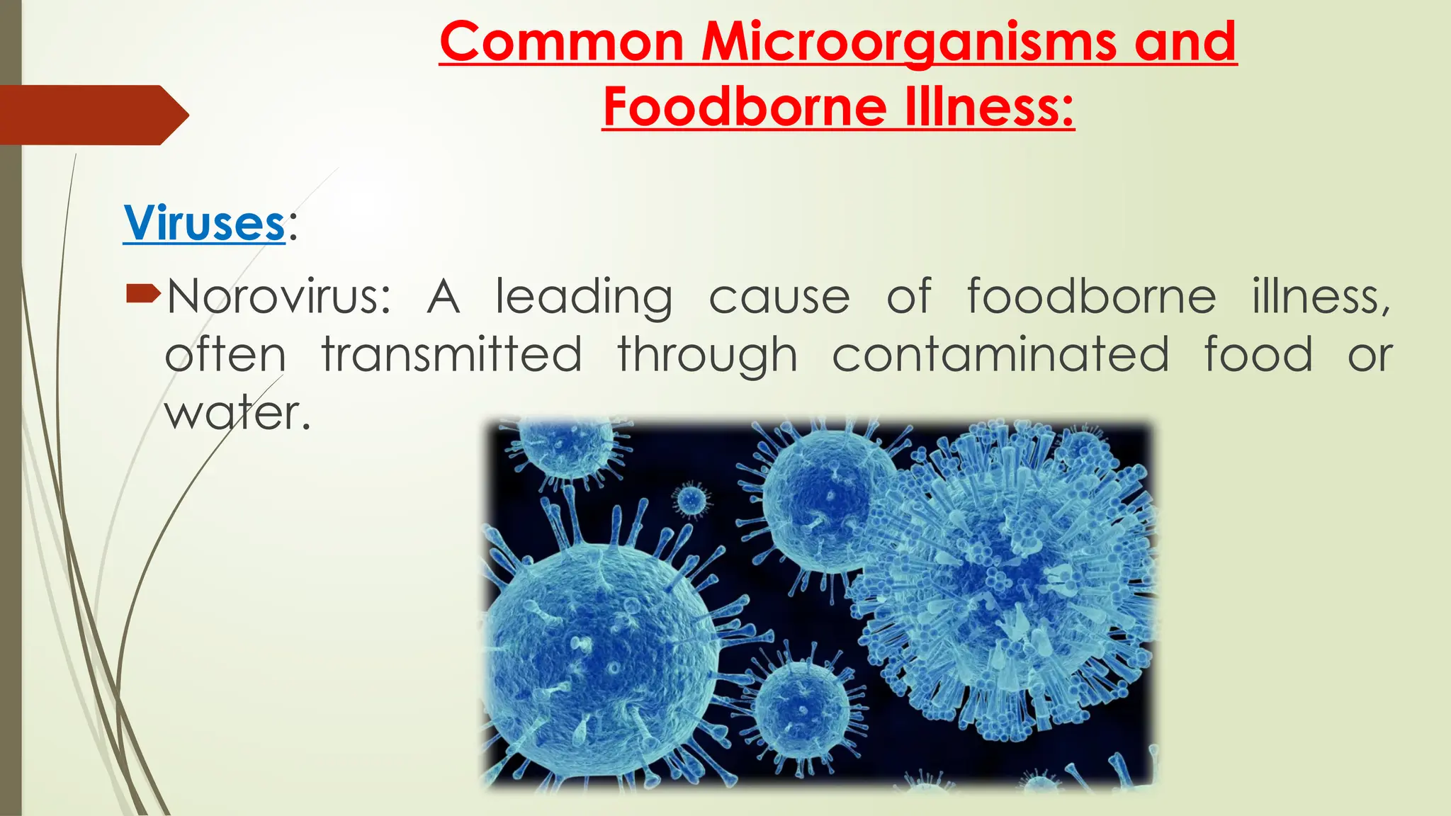 MICROORGANISMS TRANSMITTED THROUGH FOOD.pptx