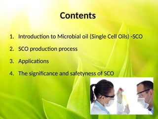 Microorganism used for microbial oil production.pptx