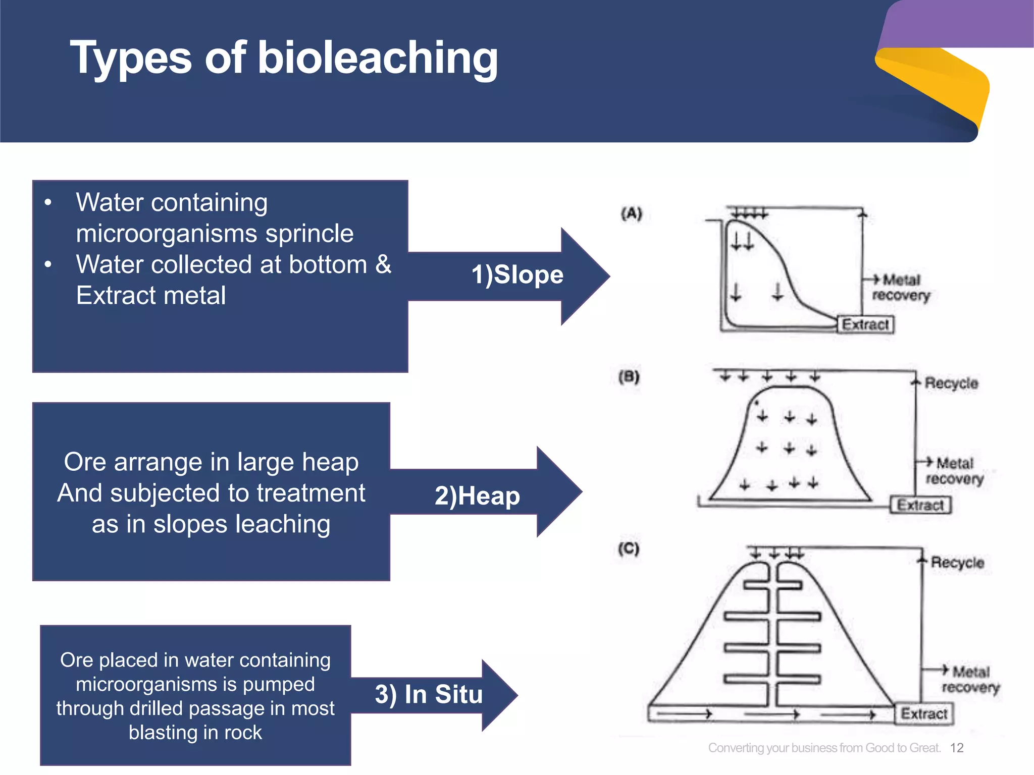 Microorganism used in bioleaching | PPTX