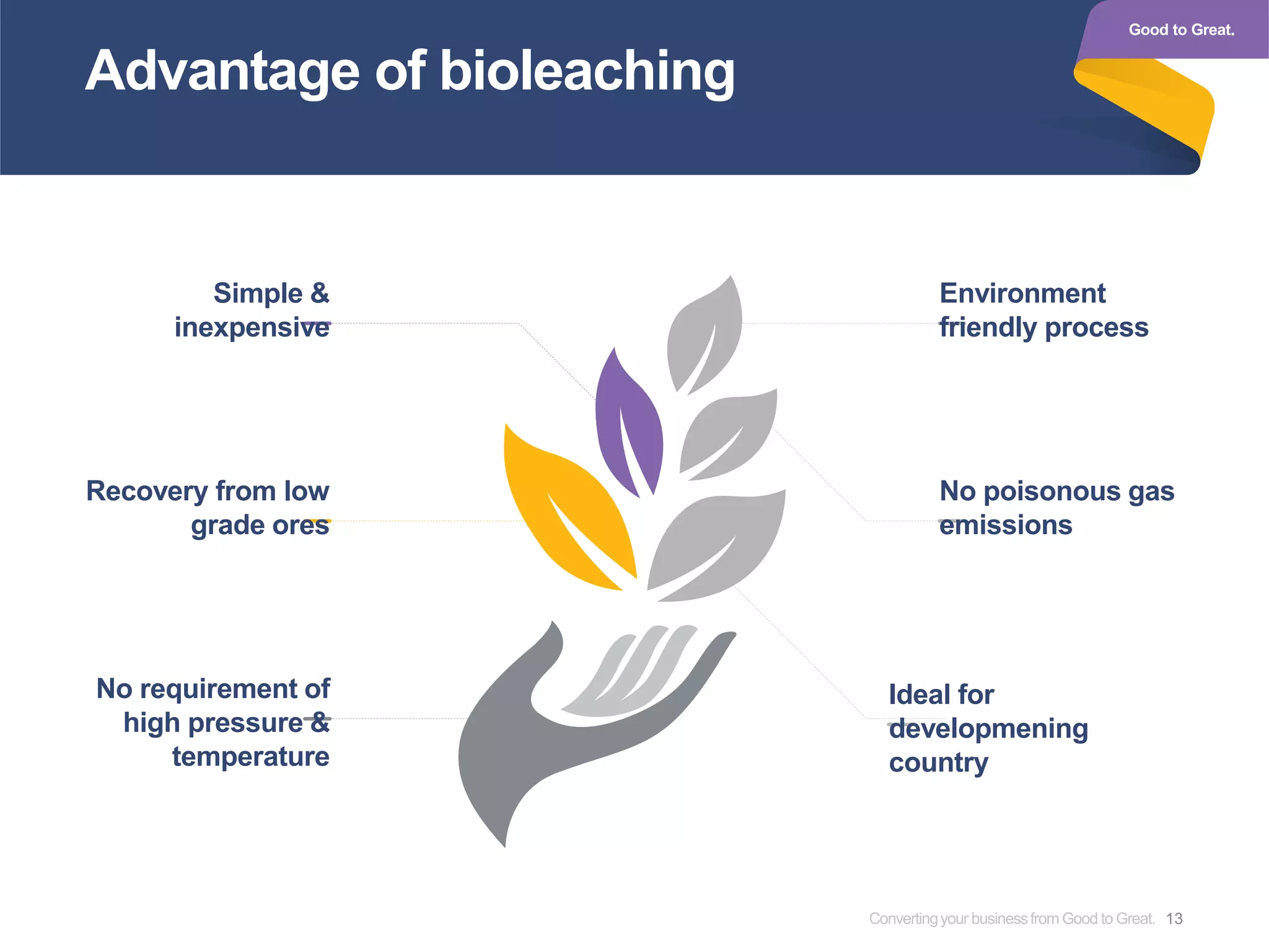 Microorganism used in bioleaching | PPTX