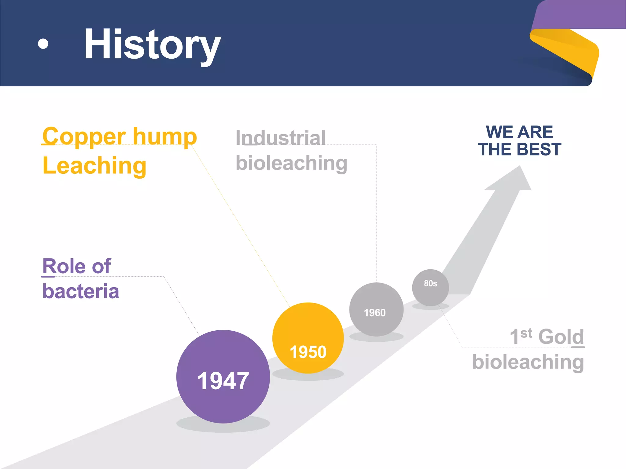 Microorganism used in bioleaching | PPTX
