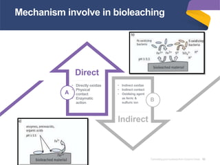 Microorganism used in bioleaching | PPT