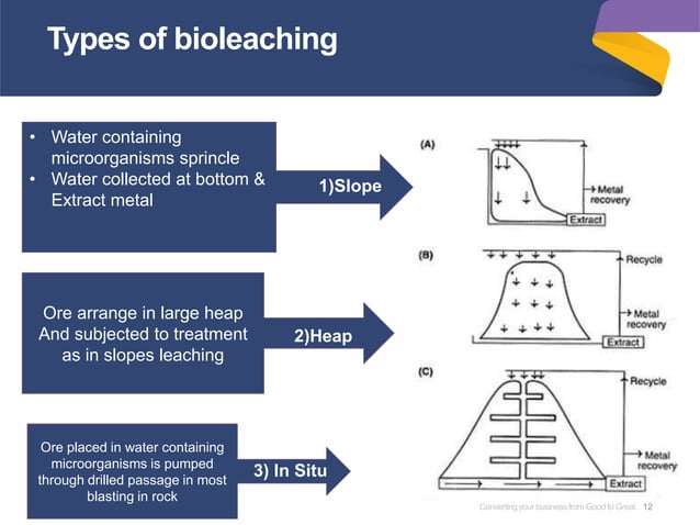 Microorganism used in bioleaching | PPT