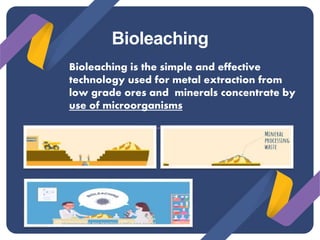 Microorganism used in bioleaching | PPTX