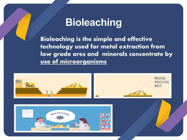 Microorganism used in bioleaching | PPT