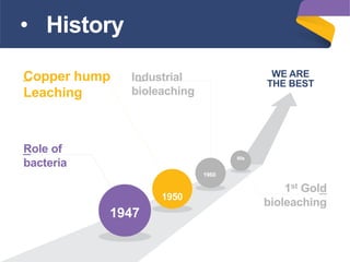 Microorganism used in bioleaching | PPTX