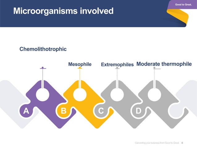 Microorganism used in bioleaching | PPT