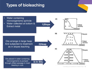 Microorganism used in bioleaching | PPT