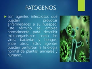 Microorganismos patogenos - Christian Bustillos | PPTX