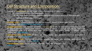 Micropaleontology and foraminifera | PPTX | Geology | Science