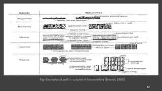 Micropaleontology and foraminifera | PPTX | Geology | Science
