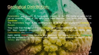 Micropaleontology and foraminifera | PPTX | Geology | Science