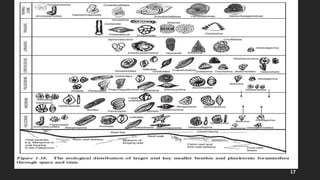 Micropaleontology and foraminifera | PPTX | Geology | Science