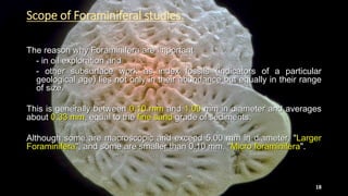 Micropaleontology and foraminifera | PPTX | Geology | Science