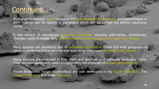 Micropaleontology and foraminifera | PPTX | Geology | Science