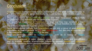 Micropaleontology and foraminifera | PPTX | Geology | Science