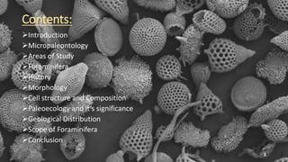 Micropaleontology and foraminifera | PPTX | Geology | Science