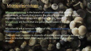 Micropaleontology and foraminifera | PPTX | Geology | Science