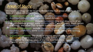 Micropaleontology and foraminifera | PPTX | Geology | Science