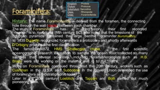 Micropaleontology and foraminifera | PPTX | Geology | Science