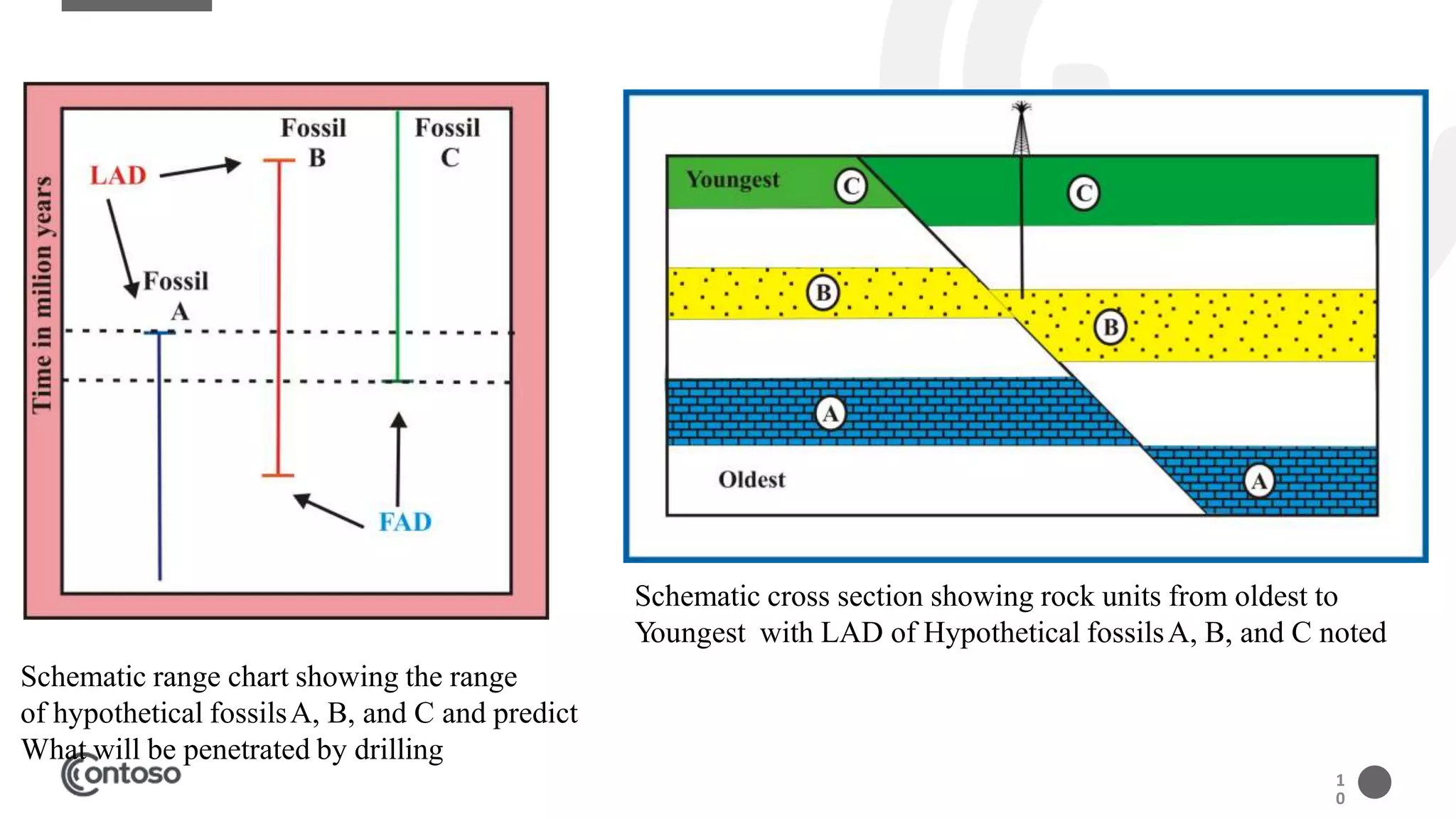 Micropaleontology in petroleum exploration.pptx