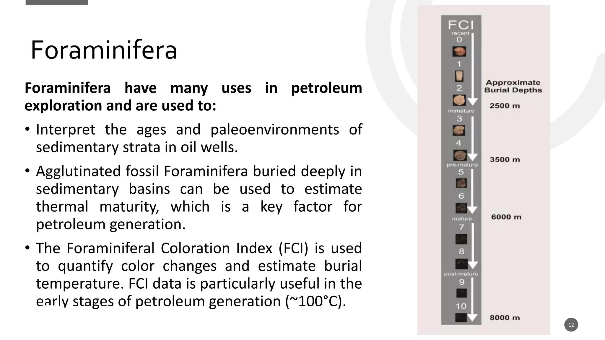 Micropaleontology in petroleum exploration.pptx