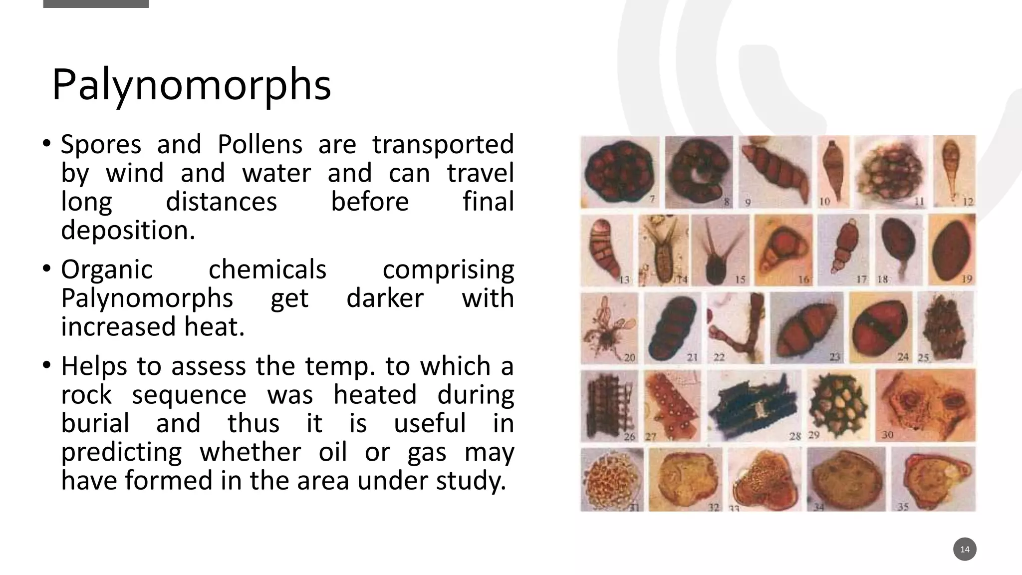 Micropaleontology in petroleum exploration.pptx