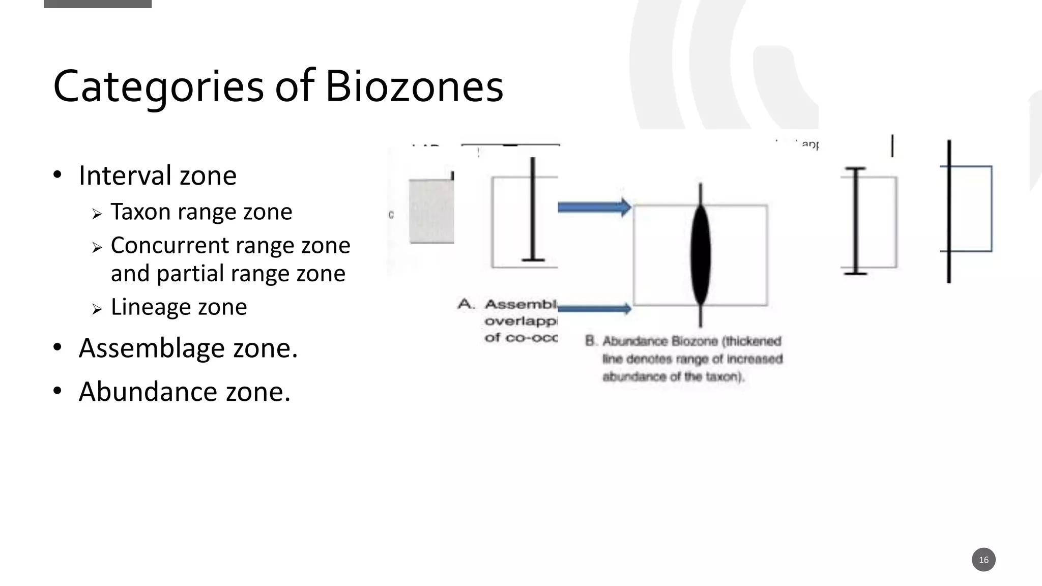 Micropaleontology in petroleum exploration.pptx