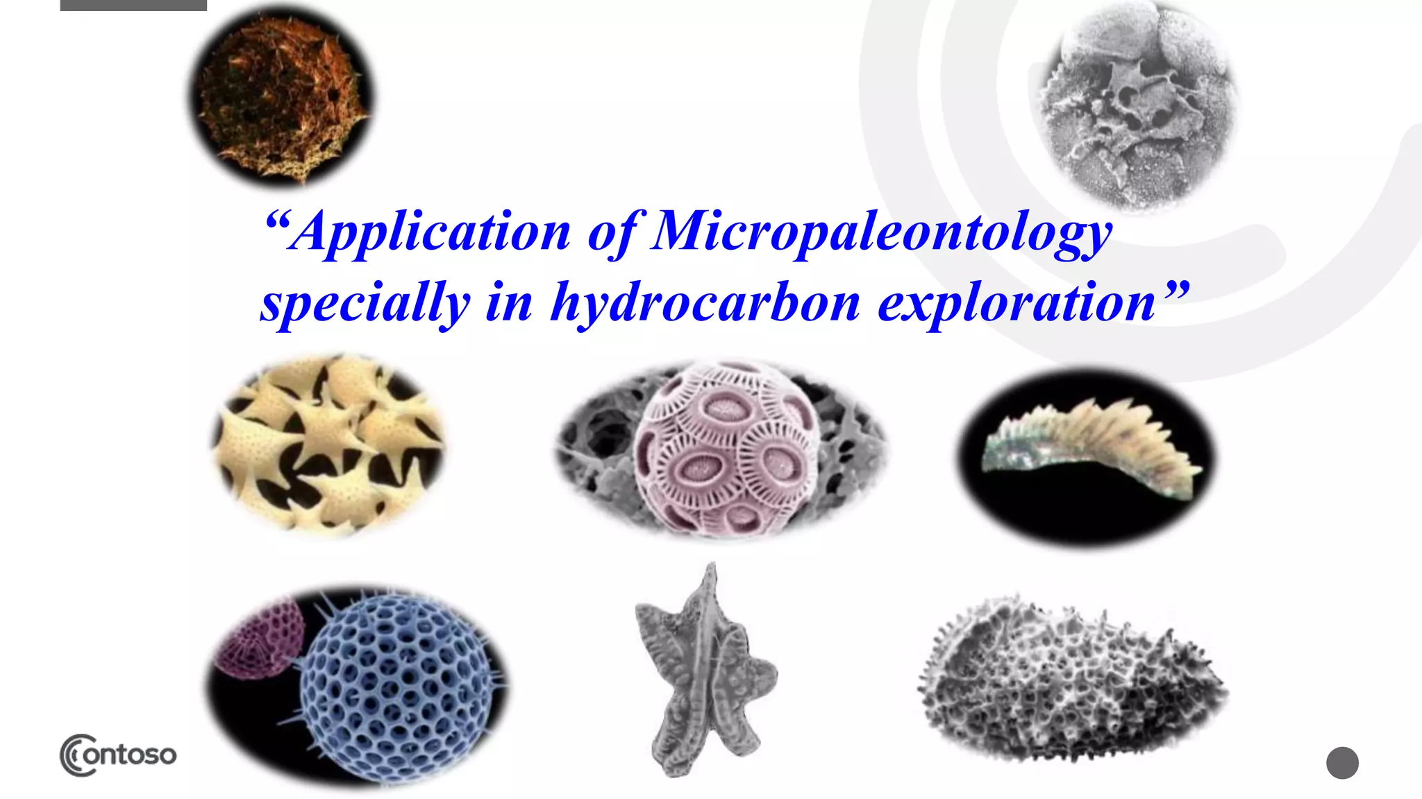 Micropaleontology in petroleum exploration.pptx