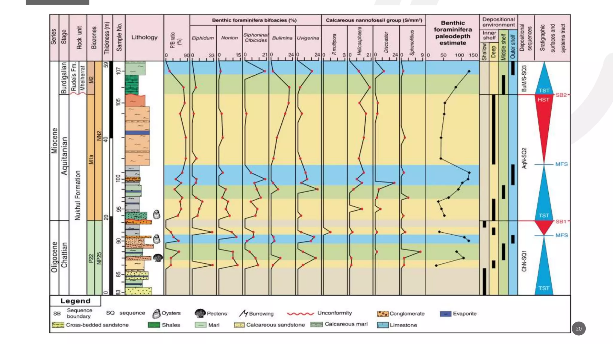 Micropaleontology in petroleum exploration.pptx