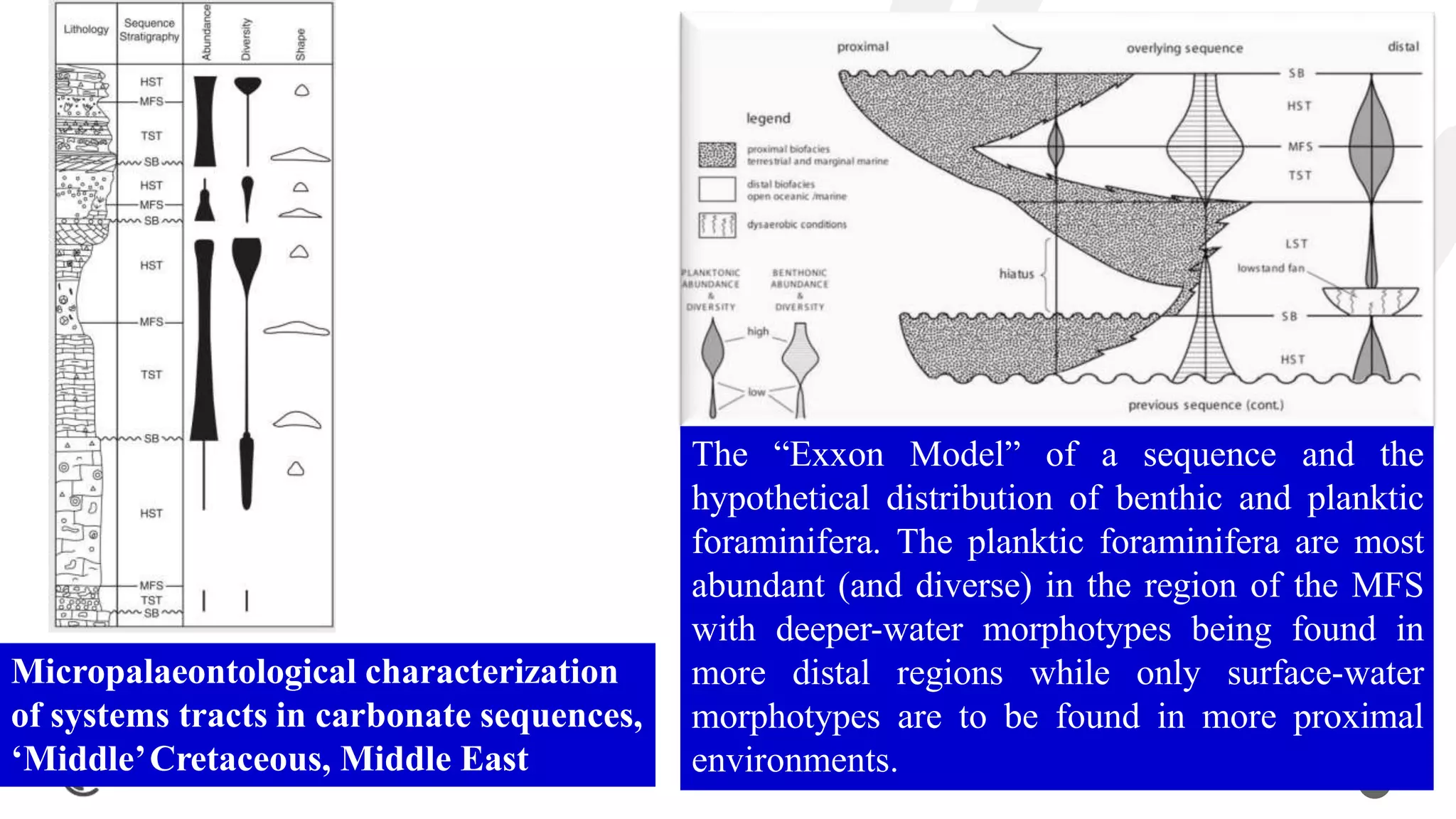 Micropaleontology in petroleum exploration.pptx